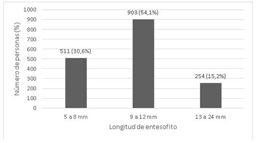 Prevalencia del desarrollo de entesofito en la Protuberancia Occipital ...